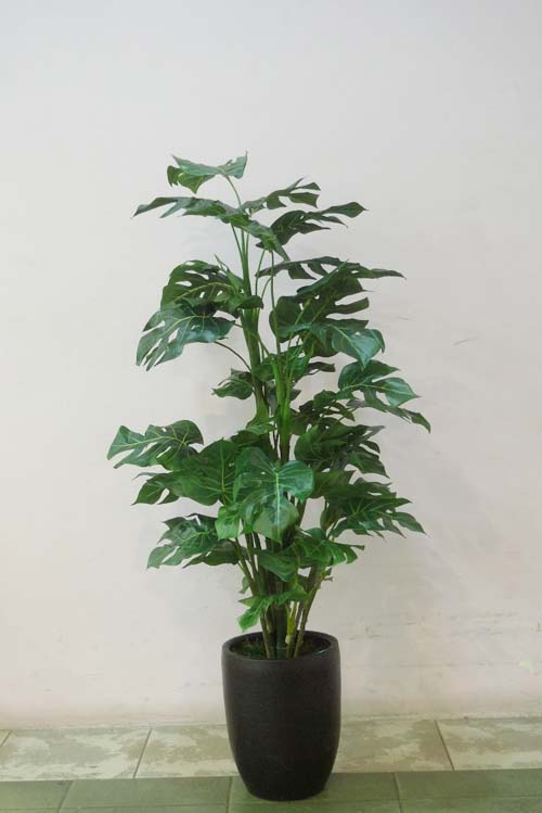 PTM672-XA9A Split Philo H120cm – Vanda Win Artificial Flowers & Plants